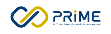 | プロテイン・アイランド・松山